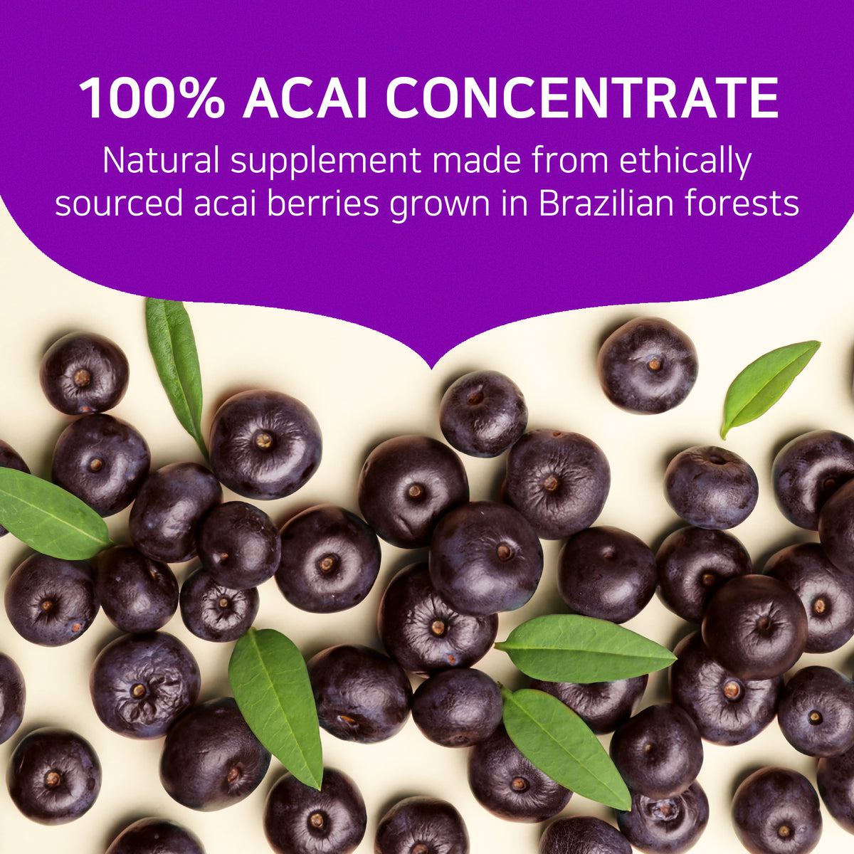 PNC Acai x100 – Antioxidant-Rich Superfruit Supplement, 180 Capsules ...